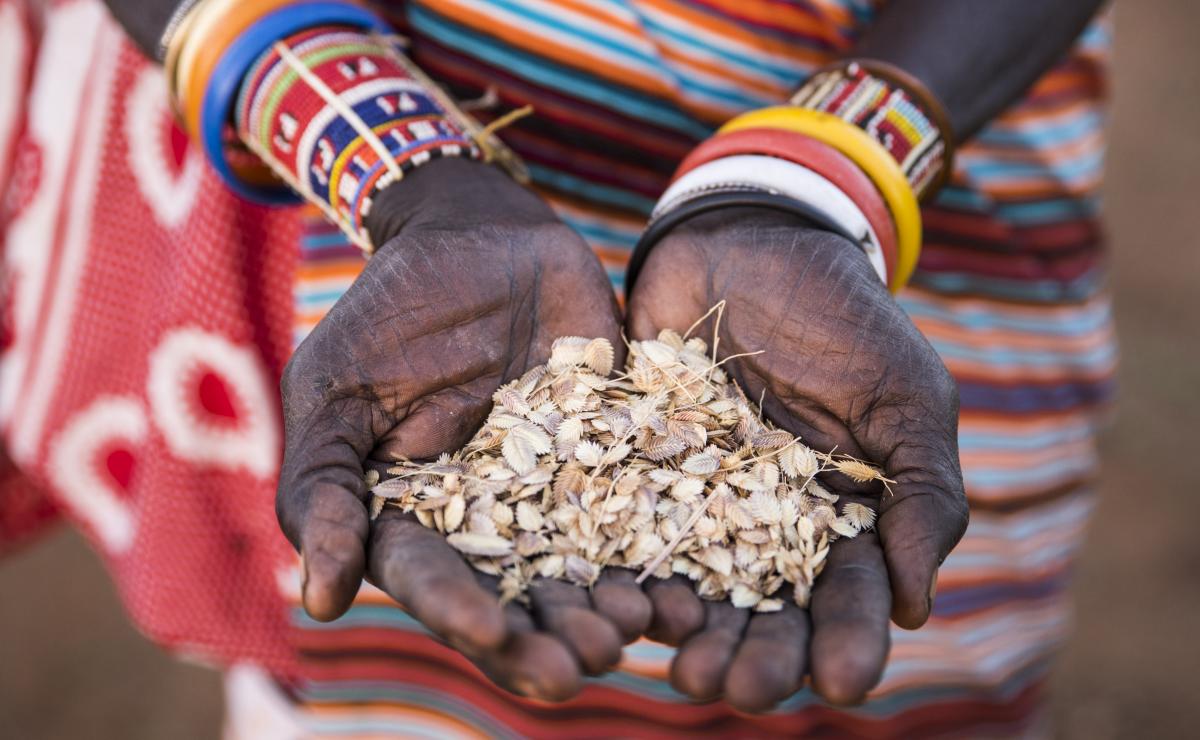 Welcome to the Society of Ethnobiology | Society of Ethnobiology