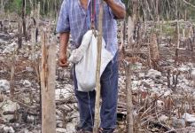 Maya Milpa: Maya region of Mesoamerica -- the Yucatan Peninsula ...